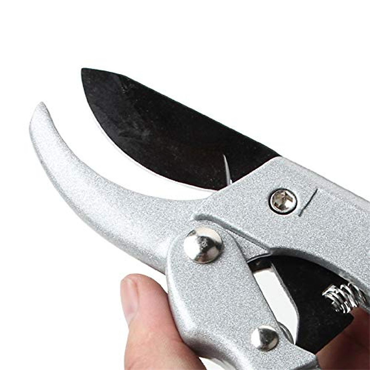 GYDXJGJ Gardening Pruning Shears Which Can Cut Branches of 24mm Diameter Fruit Trees Flowers Branches and Scissors Hand Tools