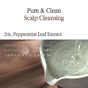 PYUNKANG YUL Herbal Hair Loos Control Shampoo - Fermented Black Tea containing rich Ingredients polypheonol, catechin - Hair Loss Treatments herbal Ingredients condensed Peptide, Biotin - 16.9 Fl. Oz