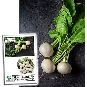 Hailstone Radish Seeds, 250+ Heirloom Seeds, (Isla's Garden Seeds), Non GMO Seeds, Botanical Name: Beta vulgaris