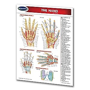 Hand - Human Hand Chart - Medical Anatomy Guide - Quick Reference Guide by Permacharts
