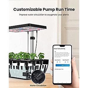 iDOO WiFi 12 Pods Hydroponic Growing System with 6.5L Water Tank, Smart Hydro Indoor Herb Garden Up to 14.5", Plants Germination Kit with Pump System, Fan, Grow Light for Home Kitchen Gardening, Black