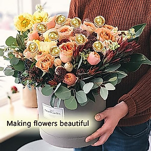 DOERDO 100pcs Clear Chocolate Box Holder Plastic Chocolate Candy Cups Mini Cupcake Muffin Holders for Valentine Day Birthday Party Supplies, 4x4CM