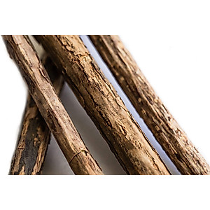 Meowy Janes Matatabi Chew Sticks - An All Natural Silvervine Cat Toy and Cat Treat - Catnip Alternative