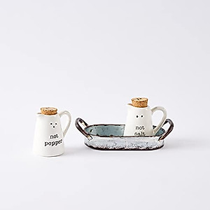 Mud Pie Farmhouse Inspired Ceramic Aluminum Salt and Pepper Caddy Set, One size, White
