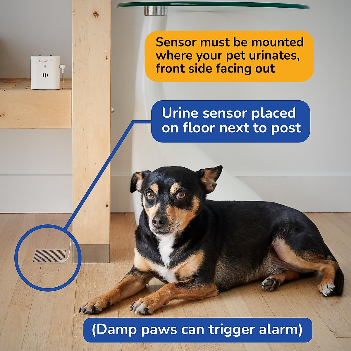 SPRAYALERT Pet Urine & Moisture Alarm for Dogs and Cats - Detect Pet Peeing Realtime - Training Tool for Dogs - Protect Furniture - with Standard Sensor (4.4 in x 2.8 in)