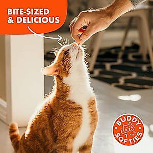 Buddy Biscuits 3 oz. Pouch of Grain Free Soft & Chewy Cat Treats Made with Natural Temping Tuna