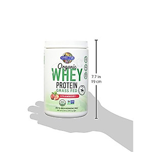 Garden of Life Whey Protein Powder Strawberry - 21g Certified Organic Grass Fed Protein for Women & Men + Probiotics - 12 Servings - Gluten Free, Non GMO, Kosher, Humane and RBST & rBGH Hormone Free