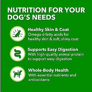 Iams Proactive Health Wet Dog Food, Lamb Chunks in Gravy, 13 oz., Pack of 12