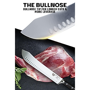 Dalstrong Bull Nose Butcher Knife - 10 inch - Gladiator Series Elite - High Carbon Premium German Steel - Breaking Knife - Black G10 Handle - Meat BBQ Knife - Sheath Guard Included - NSF Certified