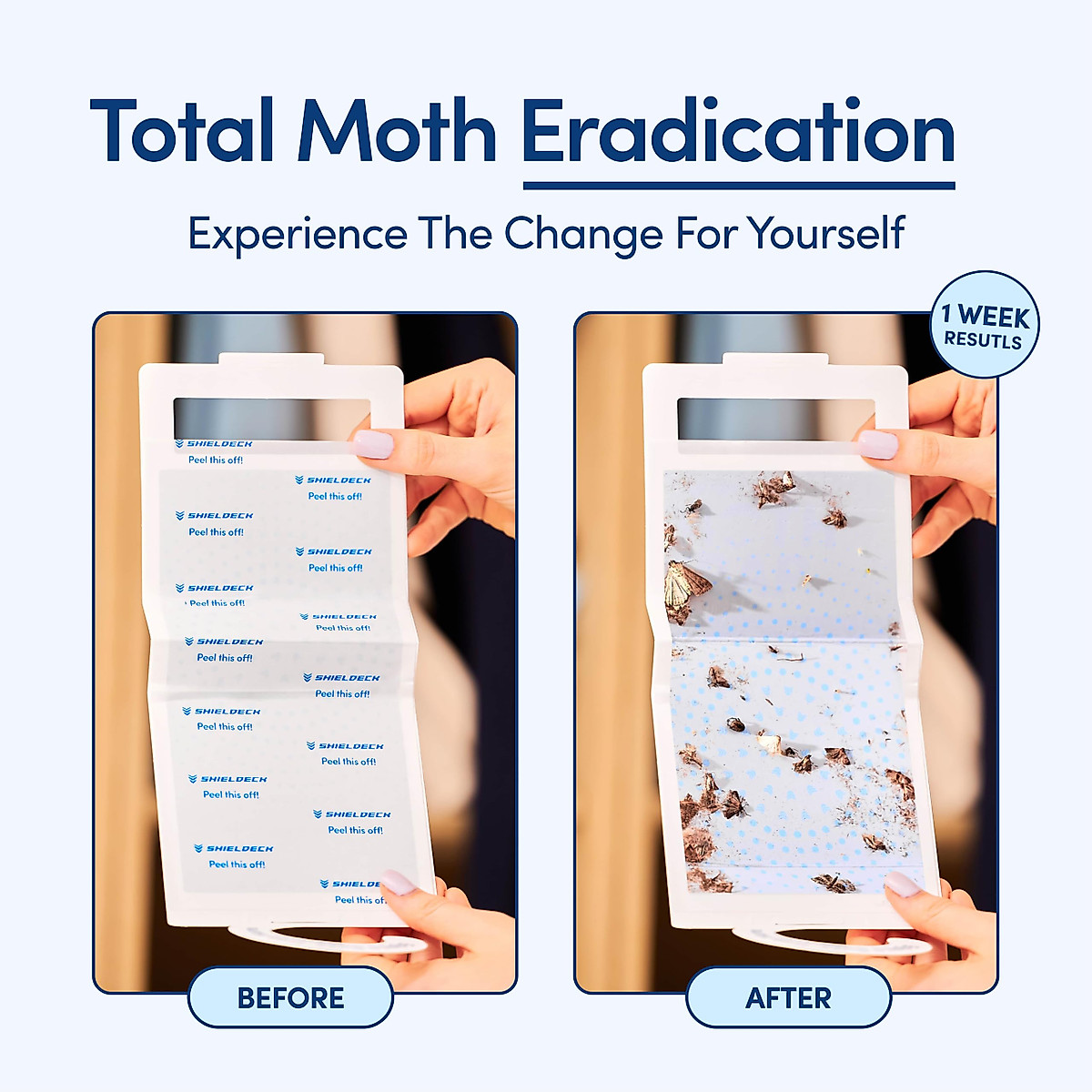 Shieldeck Moth Traps for Clothes with Pheromones (8-Pack) - Clothing Moth Traps for House - Closet Moth Trap & Moth Killer - How to Get Rid of Moths in House - Indoor Cloth Moth Catchers