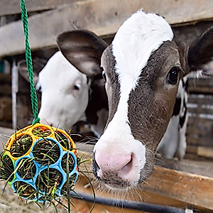 Besimple 2 Pack Horse Treat Ball Hay Feeder Toy, Goat Feeder Ball Hanging Feeding Toy for Horse Goat Sheep Relieve Stress (Colorful)