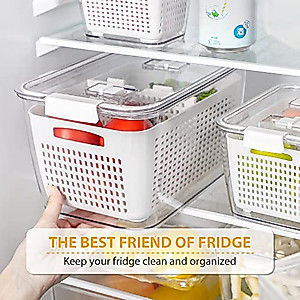 Fruit Storage Containers for Fridge, 3 Pack Produce Saver Containers 10 Pack BPA FREE Reusable Freezer Bags, Vegetable Fruit Container Storage Reusable Lunch Bag for Meat Fruit