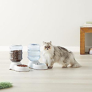 Amazon Basics Automatic Dog Cat Water Dispenser Gravity Feeder Set, Small, 6-Pound Food Capacity, 1-Gallon, Gray