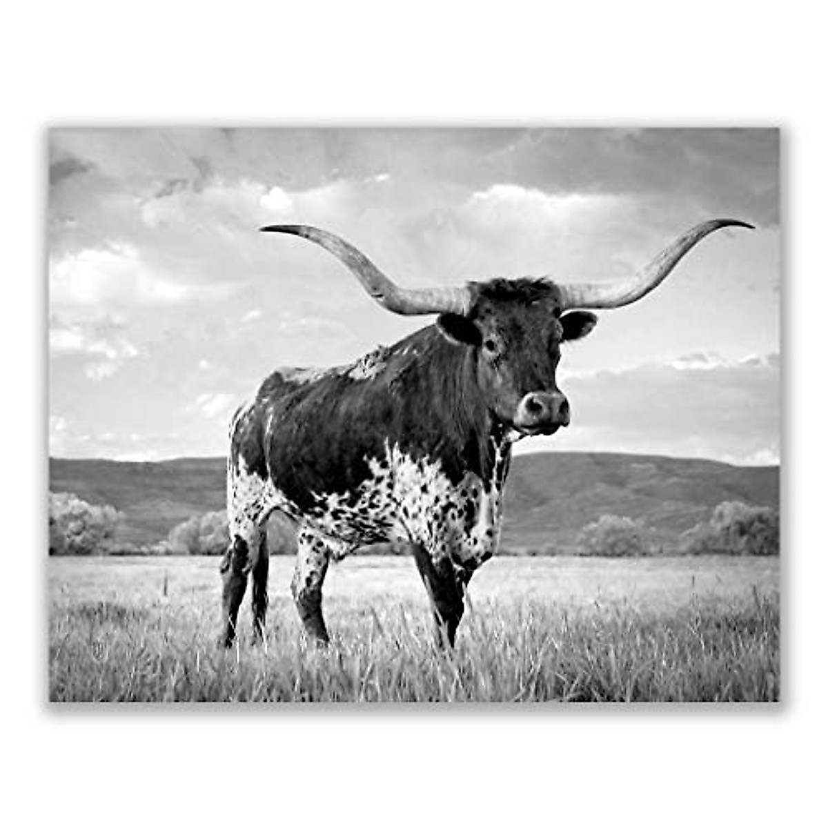 Black and White Texas Longhorn Prints - Set of 2 (11x14 Inches) Glossy Minimalist Monochromatic Barn Farm Cow Western Rustic Farmhouse Wall Art Decor