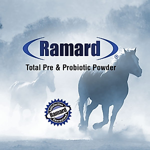 Ramard Total Prebiotic & Probiotic Equine Formula - Natural Digestive Supplement for Horses Optimal Gut Health, Nutrient Absorption, Foal Support Pro & Pre Biotics for Livestocks and Horse 5 lbs Jar