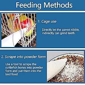 Tfwadmx 8Pcs Bird Cuttlebone for Parakeets Cuddle Bones for Birds Chewing Cuttlefish Bone Natural Birds Calcium for Parrots Cockatiels Budgies Conures Cockatoos,4.3-5.1 Inches