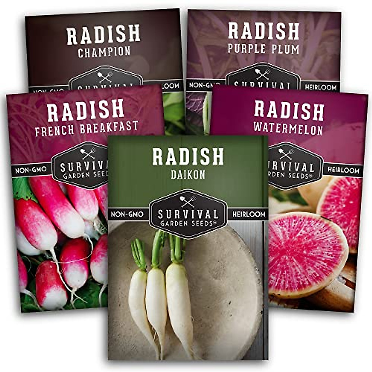 Survival Garden Seeds Radish Collection Seed Vault - Watermelon (Daikon Type), Purple Plum, French Breakfast, Daikon, Champion Radishes - Non-GMO Heirloom Seeds for Planting in Your Vegetable Garden