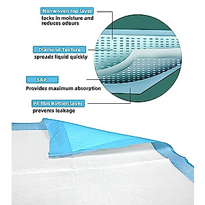 Roypet 22" x 22" Puppy Training Pads in Bag, 100-Count