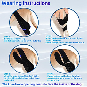Dlevakve S Dog Knee Brace for Torn Acl Hind Leg for Support with Cruciate Ligament Injury, Better Recovery with Dog Leg Braces for Back Leg,Adjustable Dog Acl Brace Hind Leg Braces for Back Leg