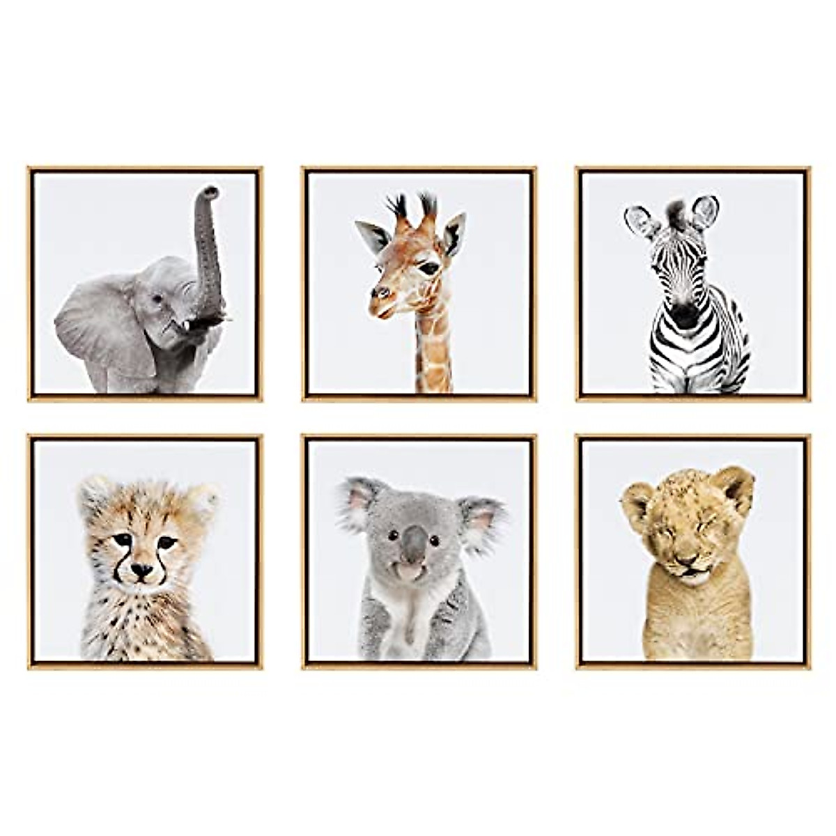 Kate and Laurel Sylvie Safari Animal Collection Framed Canvas Wall Art by Amy Peterson Art Studio, Set of 6, 13x13 Natural, Decorative Animal Art for Wall