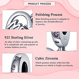 LONGLUCK 925 Sterling Silver Charms for Bracelets Necklaces Dangle Pendant With 5A Cubic Zirconias Bead Charm for Women DIY Jewelry