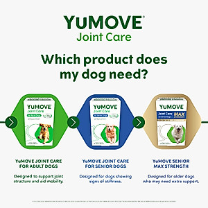 Hip and Joint Supplement - 120 Tablets for Dogs with Glucosamine, Chondroitin, MSM, Omega 3, Hyaluronic Acid, Green Lipped Mussel, & Fish Oil for Dogs - Joint Support Supplement - Senior Dogs