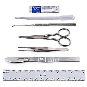 DEXSUR Dissection Kit for Biology Lab & Anatomy - Stainless Steel Scalpel Knife Set for Medical & Veterinary Students, KIT1019-7 Pcs