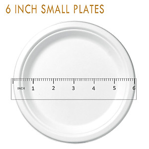 CantaGreen 6 inch Compostable Dessert Plates,100 Count Heavyduty Sugarcane/Bagasse and Bamboo Fibre Biodegradable Disposable Paper Plate