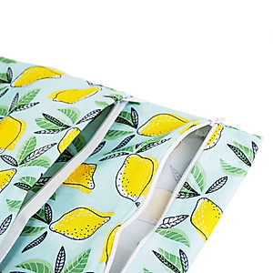 HSY Tech 2 Pcs Cloth Diaper Wet Dry Bags Waterproof Reusable Travel Beach 001 Wet Bag002