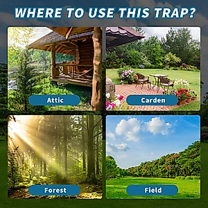 2 Pack Animal Traps Small Medium Animal Outdoor Spring Trap (2)