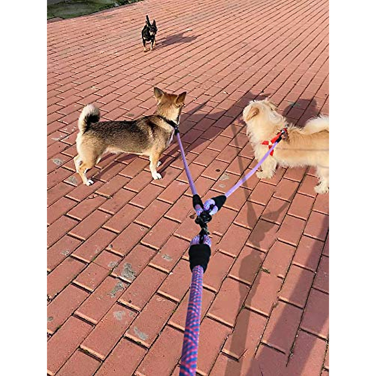 Mycicy Double Dog Leash Coupler, Extension Rope for Two Dogs, No Tangle Dual Dog Lead Splitter for Small Medium Dogs 10-35 lbs (1/3" X 33"- Pinkblue)