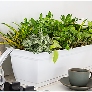 The HC Companies 30 Inch Eclipse Window Planter - Indoor Outdoor Rectangular Plant Pot with Removable Saucer for Flowers, Herbs, White