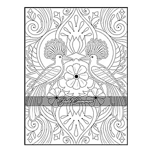 100 Amazing Patterns: An Adult Coloring Book with Fun, Easy, and Relaxing Coloring Pages