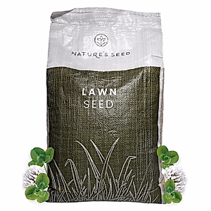 Nature’s Seed White Dutch Clover Seed, Drought Tolerant Ground Cover, Low Maintenance Garden Yard Lawn Alternative, 5000 sq ft