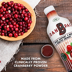 Nutritional Designs Cran-B-PAC Cranberry Supplement, Urinary Tract Health for Women Cranberry Concentrate Liquid with Vitamins, UTI Prevention for Women, Natural & Non GMO, 36mg PAC, 30 Oz Bottle