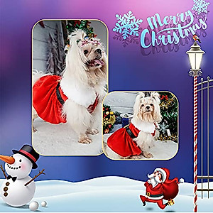 ANIAC Small Dog Christmas Dress Cat Xmas Outfits Red Santa Puppy Skirt Holiday Theme Girls Dog Clothes Pet Christmas Apparel (A, Small)