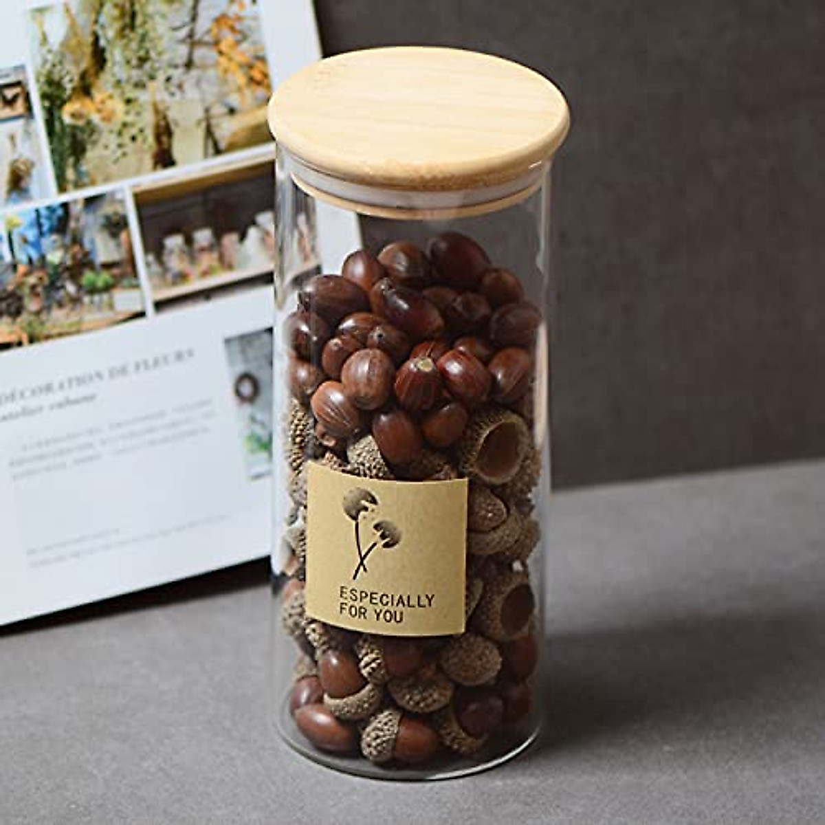 DYNWAVE 200Pcs Natural Acorns Caps Decorative for Craft Vase Fillers Home Garland Autumn Embellishments Ornaments