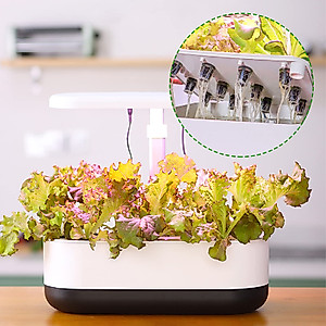 POUYRBA Grow Sponges, 80pcs Brown Peat Soil Hydroponic Sponges Rock Wool for Hydroponic Growing Hydroponic Pods for Breeding Seeds