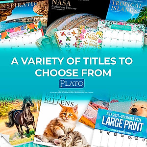 Happy Kittens | 2024 12 x 24 Inch 18 Months Monthly Square Wall Calendar | Foil Stamped Cover | July 2023 - December 2024 | Plato | Animals Cats Feline