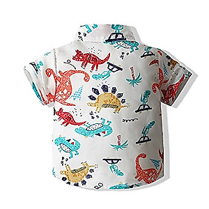 Xiangwu Textitle Toddler Baby Boy Shorts Sets Hawaiian Outfit,Infant Kid Animal Floral Short Sleeve Shirt Top+Shorts Suits Set (Style 8, 2 Years)