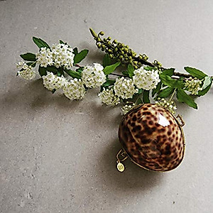 Roots Rose Radish Solid Perfume - Jasmine & Clary Sage Fragrance All Natural & Organic (.75oz)