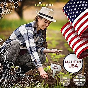 Exotic Vegetable Seeds Variety Pack - 6 Curious Garden Varieties to Grow, Non GMO, Open Pollinated, Heirloom, and Untreated for Planting, Unique Gardening Gift for Indoors and Outdoors