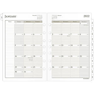 2022 Daily & Monthly Planner Refill by AT-A-GLANCE, 92010 Day-Timer, 5-1/2" x 8-1/2", Size 4, Two Page per Day (481-225A)