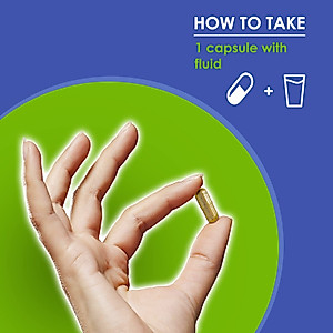 VH Nutrition Ginkgo BILOBA | 550mg Standardized Extract Supplements | Cognitive and Memory Support* | Boost Mental Clarity and Focus | Brain Health Supplement | 60 Capsules