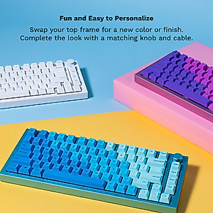 Glorious Gaming GMMK PRO 75% - Modular Mechanical Gaming Keyboard, TKL Size, 1.5kg Frame, Fox Switches, Fully Customizable, Coiled Cable, Wrist Rest, White PBT Keycaps, RGB, QWERTY - Black