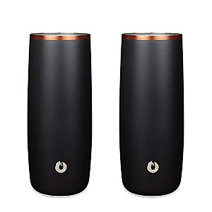 Snowfox Insulated Stainless Steel Highball Cocktail Glass/Drink Tumbler, 14.5-ounce, Set of 2, Black/Gold