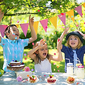 100 Pcs Dessert Plates, Mini Clear Disposable Dessert Bowls, Oval Plastic Ice Cream Cups Appetizer Tray, Sauce Dish/Bowls, Tomato Sauce, Salad Dressing for BBQ, Home, Party, Picnic, Wedding Gatherings