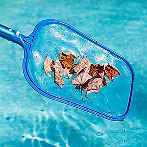 SharkBlu Plastic Pool Skimmer Net with Universal EZ-Clip Attachment for Easy Replacement, Leaf Skim Nets for Cleaning Swimming Pools, Telescopic Pole Not Included, Blue - 17.5 x 11.5 x 1.5 inches