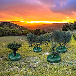 Tree Watering Ring Tree Watering Bag Slow Release PVC Drip Irrigation Water Pouch Automatic Drip System for Planting Gardening Trees and Shrubs, Green (4 Pack, 10 Gallon)