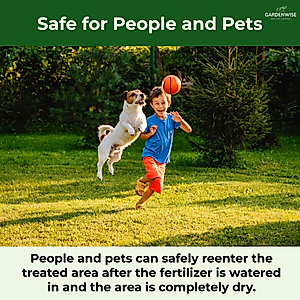 10-10-10 Plant Fertilizer Slow Release – 10 10 10 All Purpose Granular Garden Fertilizer for Fruit Trees, Evergreens, Vegetables, Arborvitae, Fig Trees, Shrubs, Pines, Oaks, Flowers (1 Quart)